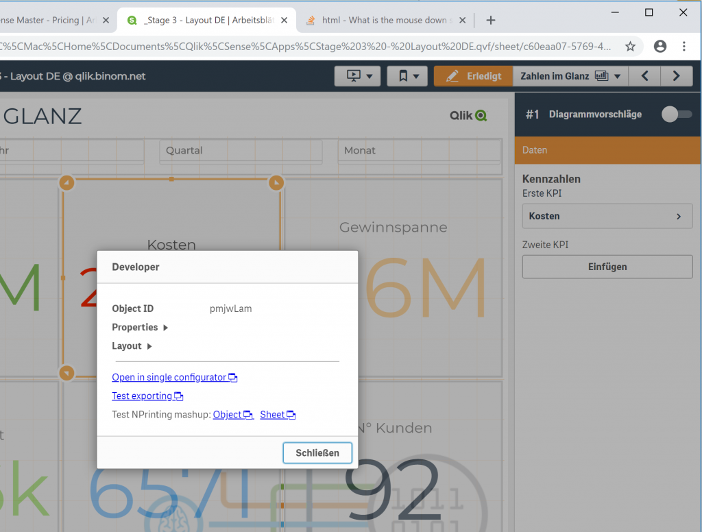 /options/developer – qlik.binom.net